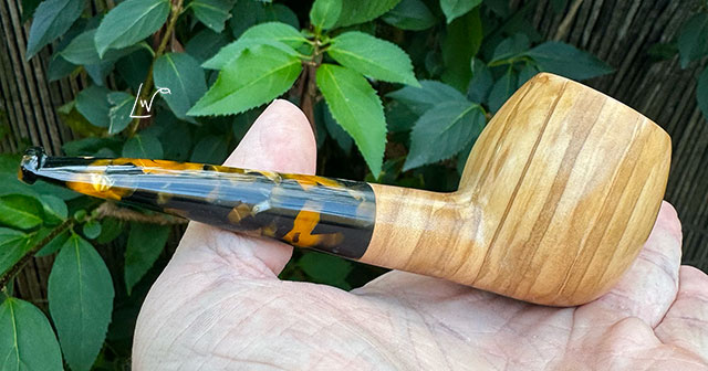 Buy Olivewood Devil Anse Tobacco Pipe Handmade in England